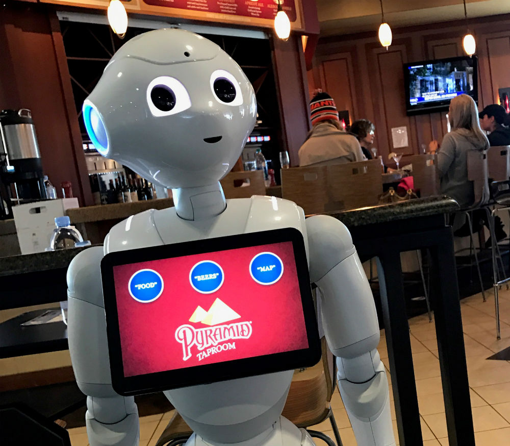 Intuitive Robots - Design applications for humanoid robots